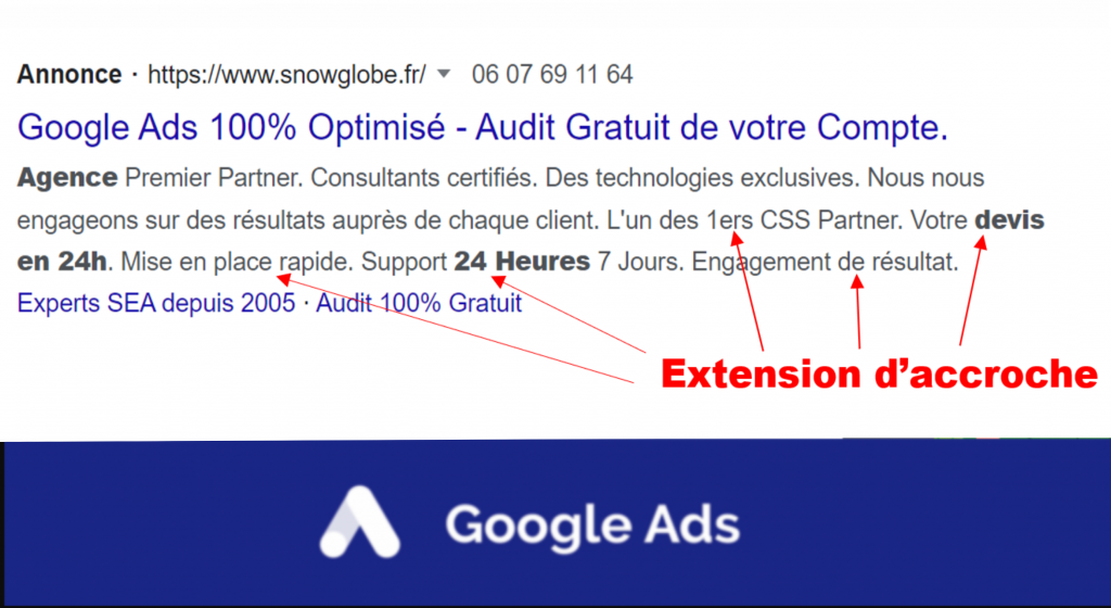 Les extensions d’accroches Google Ads : Définition et principes ...